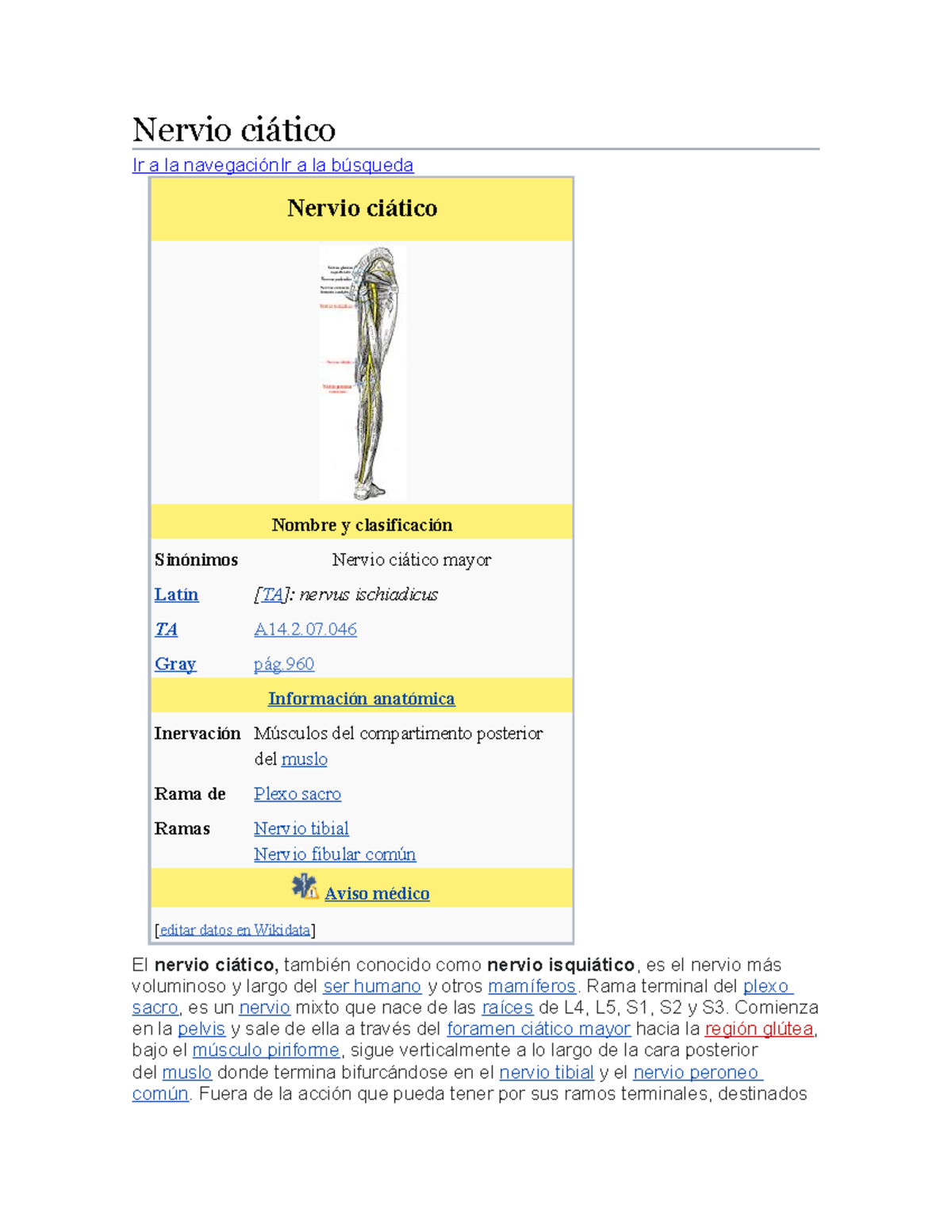 Nervio ciático - ciatic n.- Nervio ciático Ir a la navegación Ir a la ...
