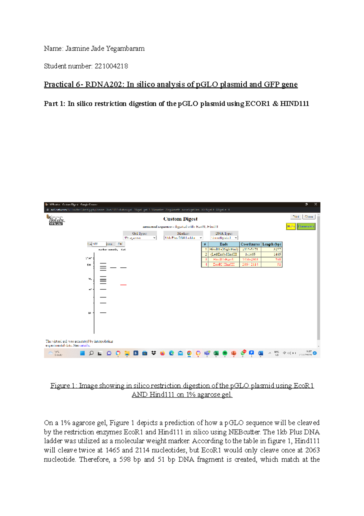 RDNA PRAC 6 GFP edited 3 - Practical assignmen Rdna202 - Name: Jasmine ...