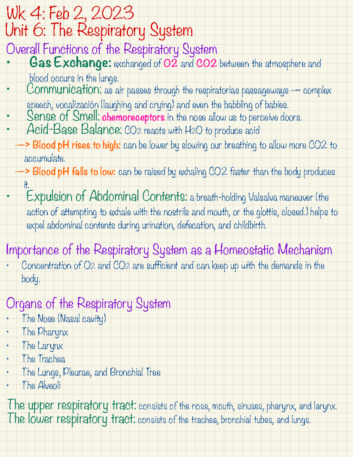 Anatomy and Physiology 6 Respiratory system - Wk 4: Feb 2, 2023 Unit 6 ...