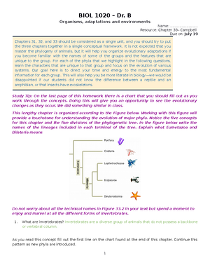 10. Homework Protists CH 28 - Organisms, adaptations and environments ...