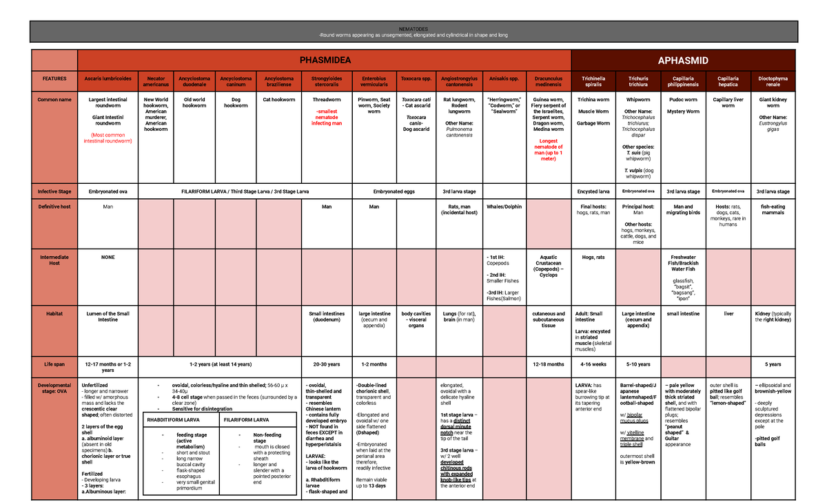Nematodes- Protozoa - NEMATODES -Round worms appearing as unsegmented ...