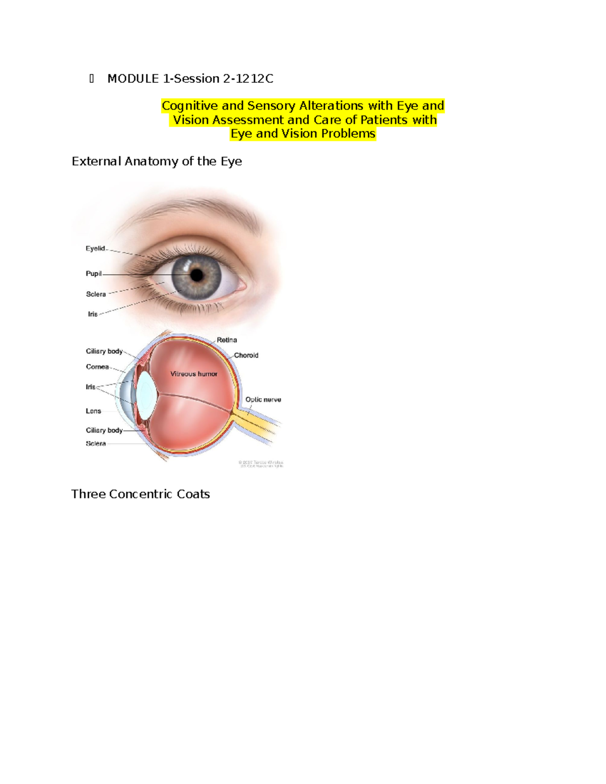Module 1 EYE - MODULE 1-Session 2-1212C Cognitive and Sensory ...