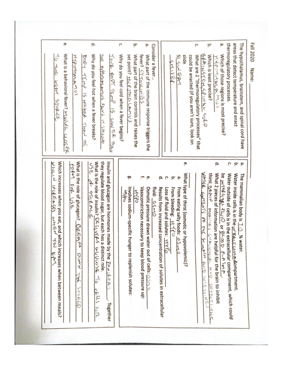 Scanned Worksheet - PSB 2000 - Studocu