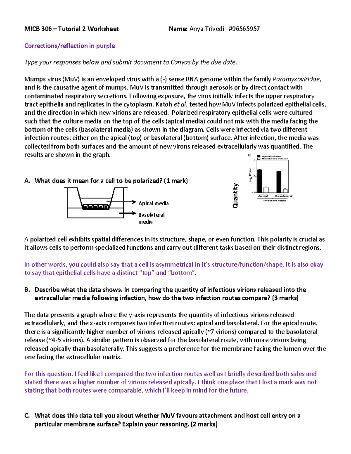 Tutorial 2 worksheet Student 2024 - MICB 306 – Tutorial 2 Worksheet ...