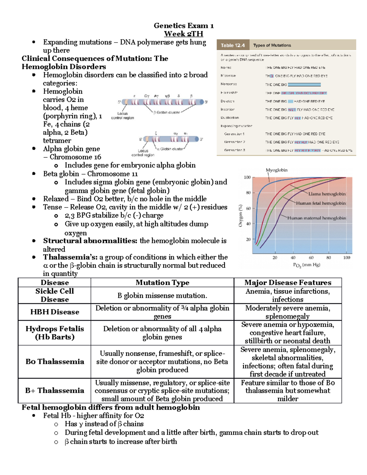 Genetics 2TH - Huwe - Genetics Exam 1 Week 2TH Expanding mutations ...