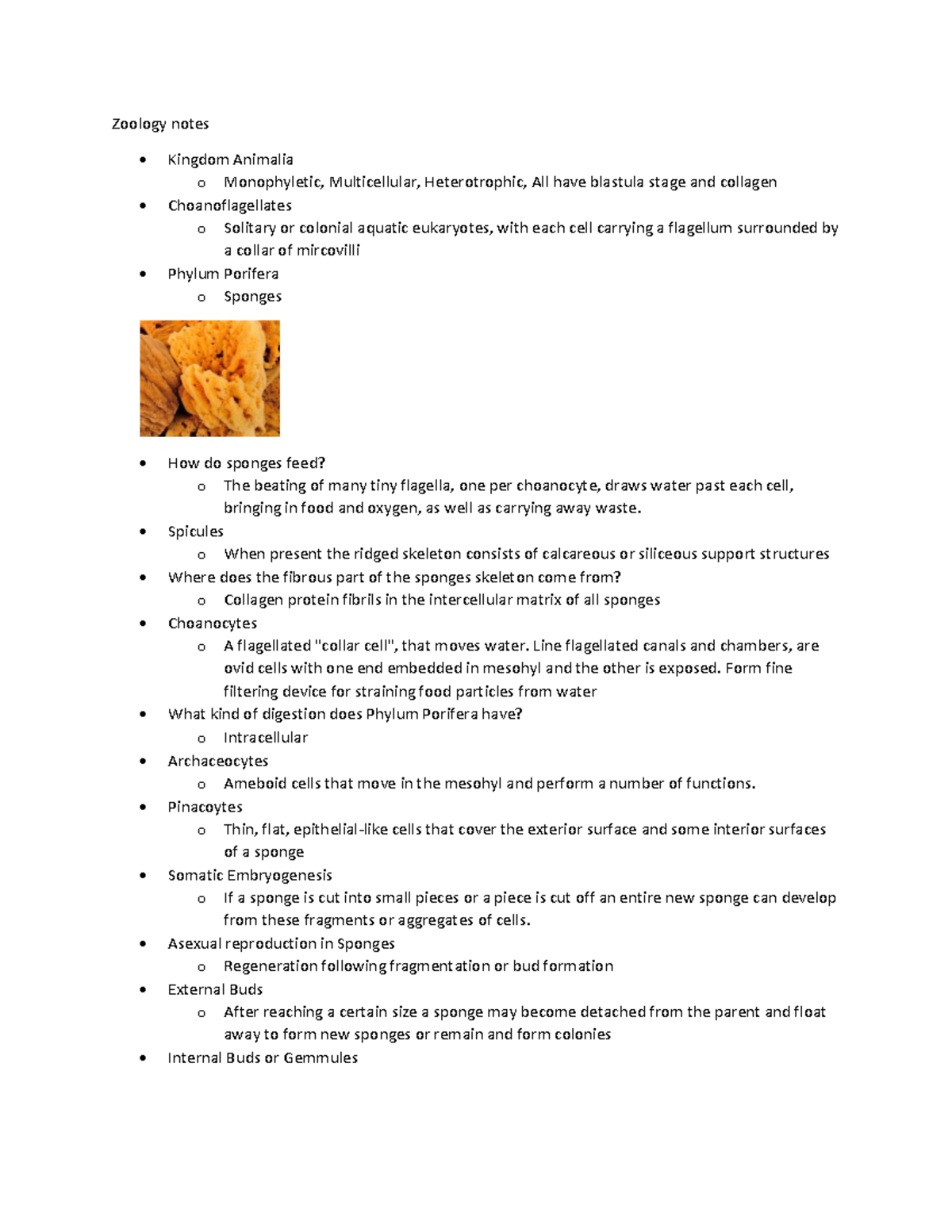 Zoology notes 1 - Zoology notes Kingdom Animalia o Monophyletic ...