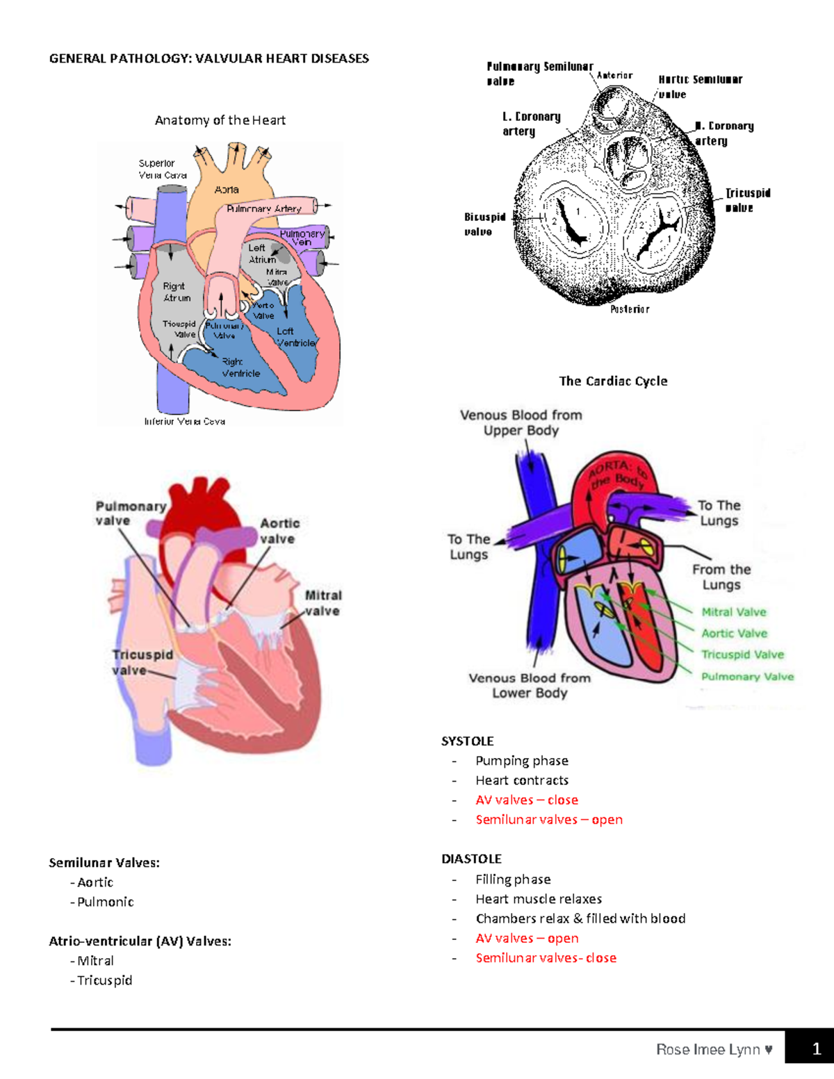 6 - Valvular Heart Disease - GENERAL PATHOLOGY: VALVULAR HEART DISEASES ...