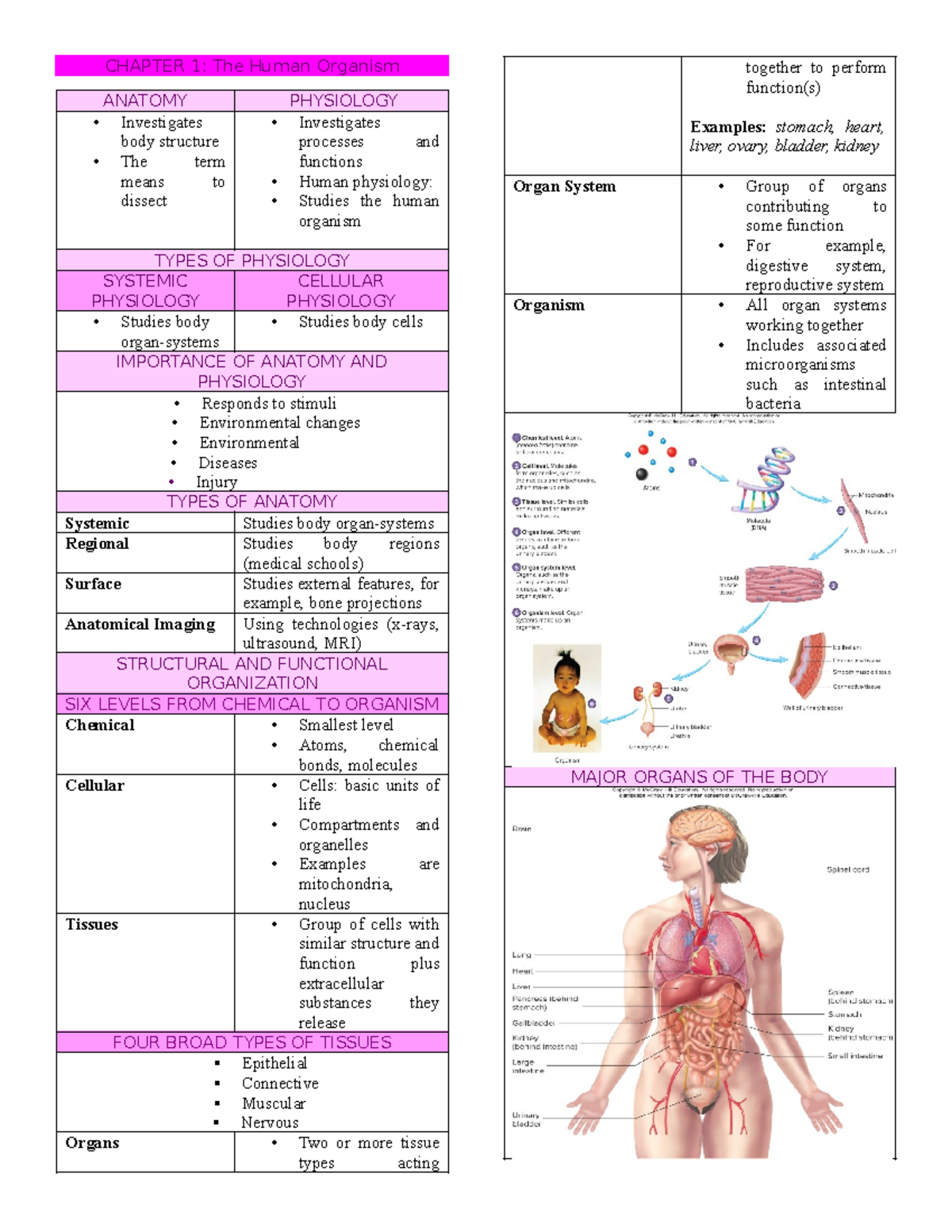 Anaphy-CM1 Transes - It tackles about the human organisms and systems ...