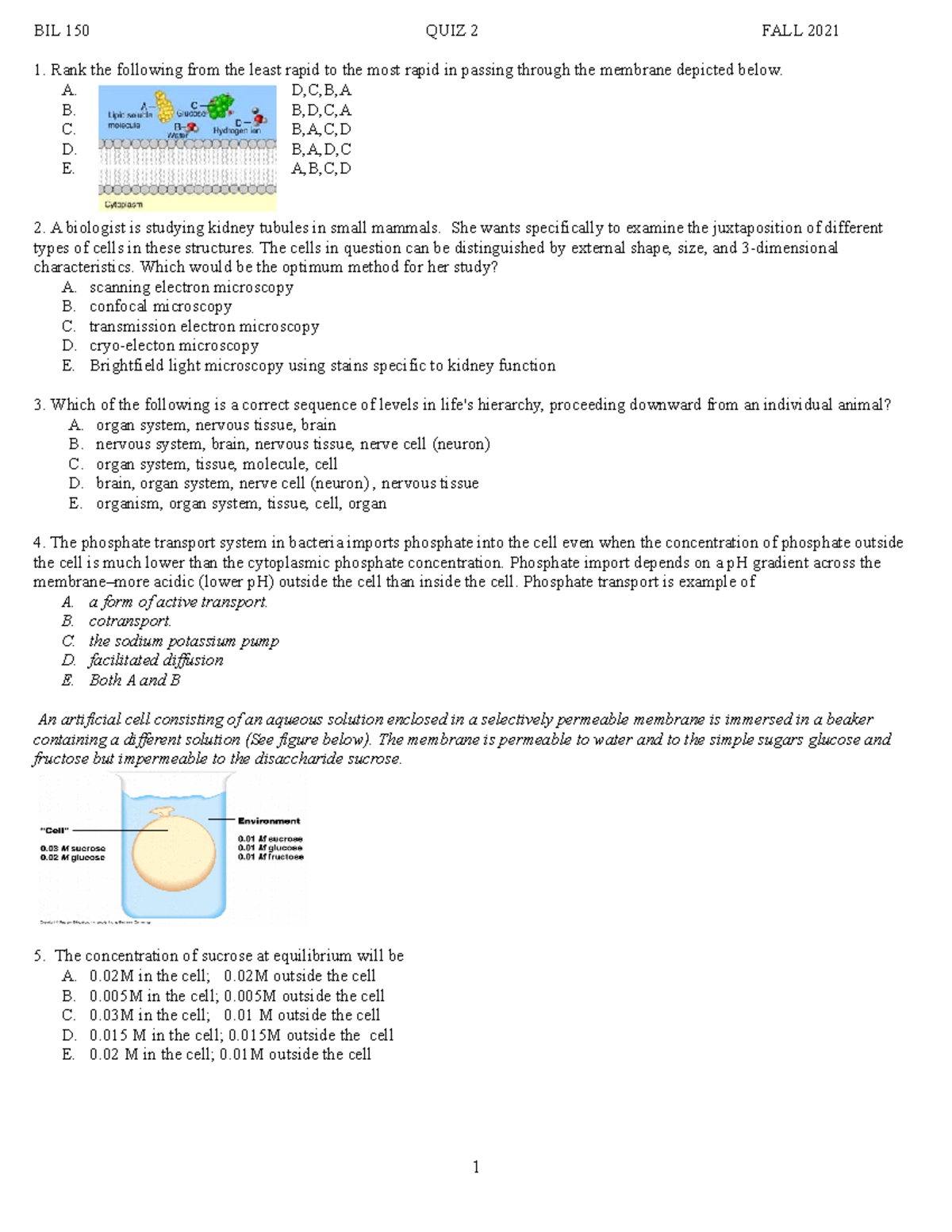 Quiz 2-Fall 2021 sv - Course documents from BIL150 - BIL 150 QUIZ 2 ...