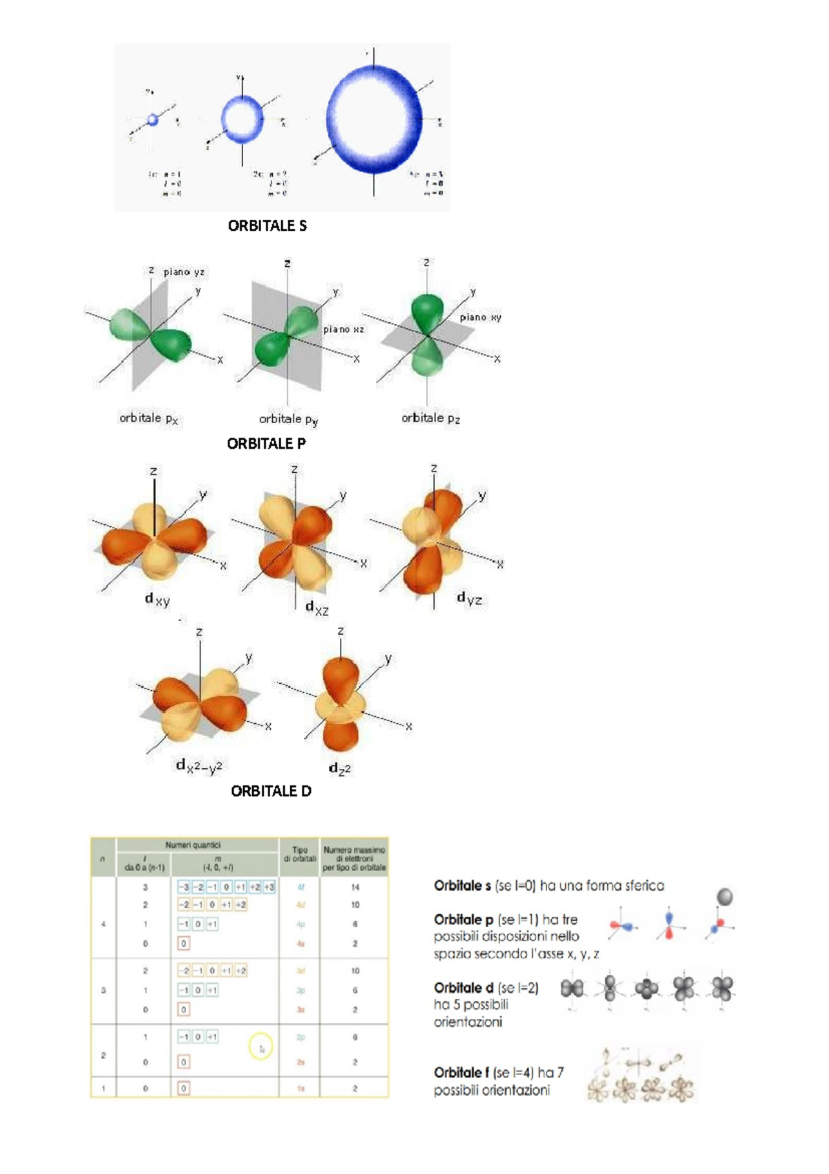Orbitali - Chimica - ORBITALE S ORBITALE P ORBITALE D - Studocu