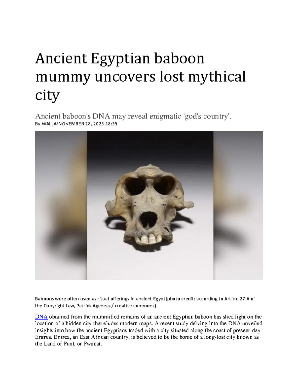 Ancient Egyptian baboon mummy uncovers lost mythical city - Ancient ...