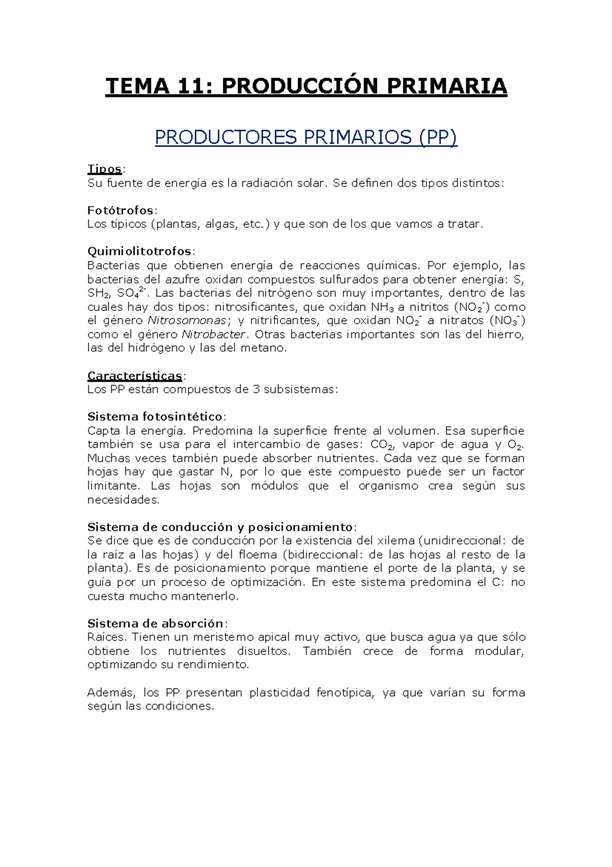 TEMA 11: PRODUCCIÓN PRIMARIA - TEMA 11: PRIMARIA PRODUCTORES PRIMARIOS ...