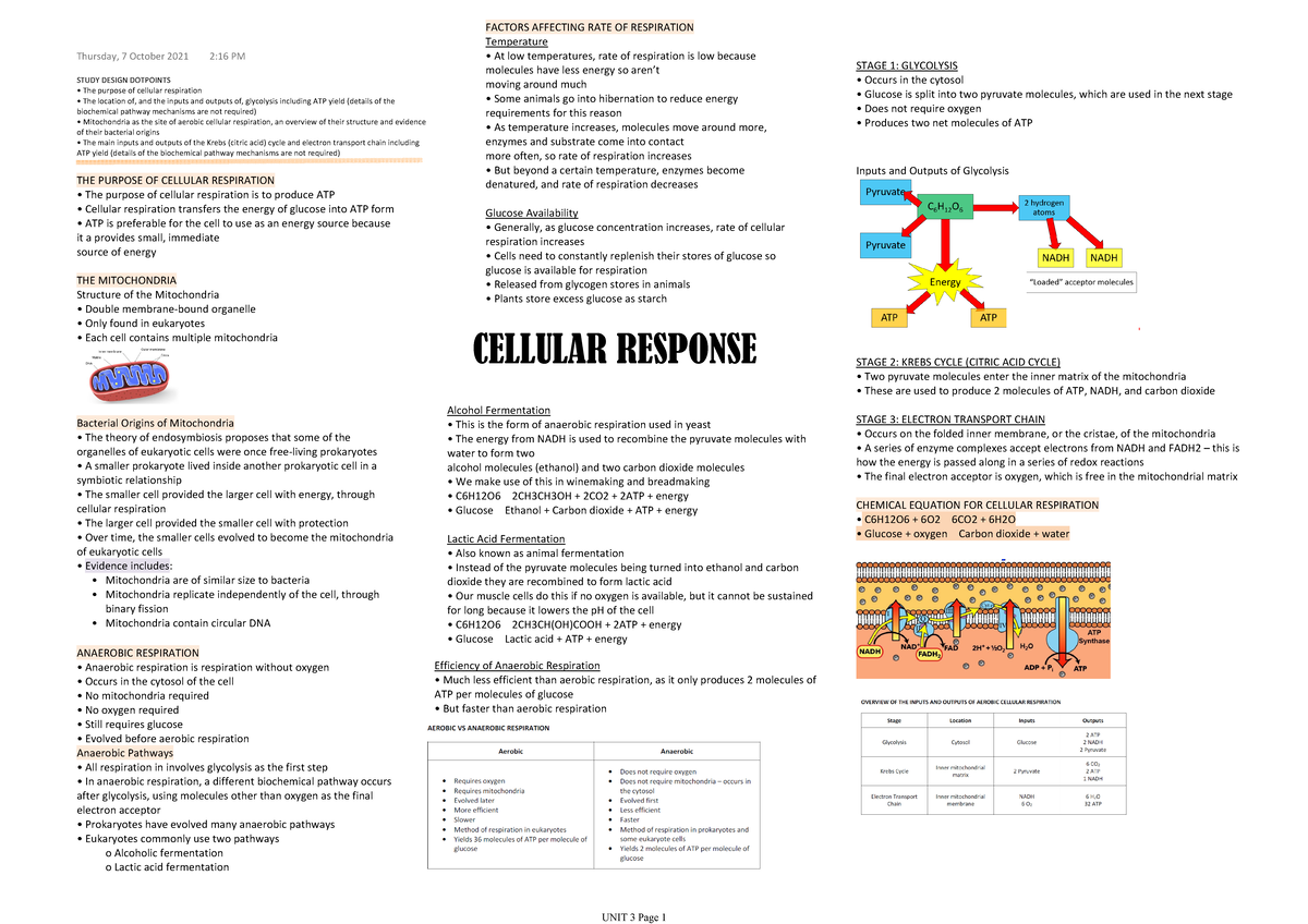 UNIT 3 Cellular Response summary - Studocu