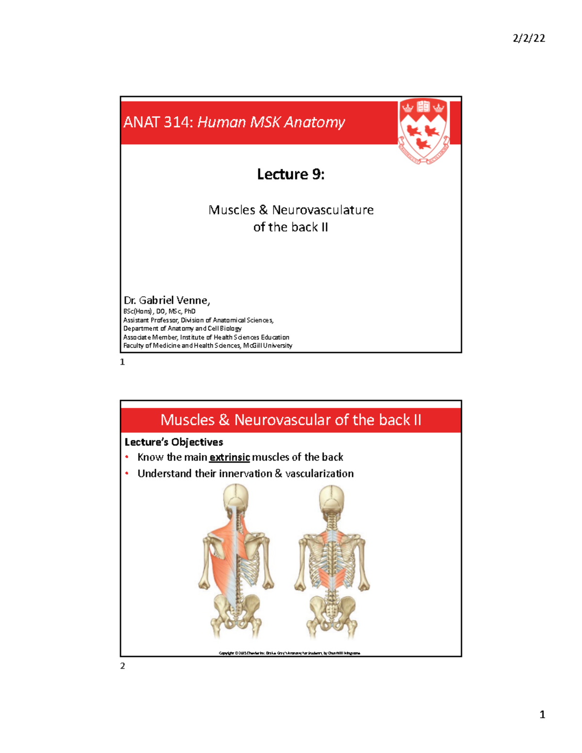 Lecture 9 (Muscles & Neurovasculature of the back II) - PDF - Copy ...