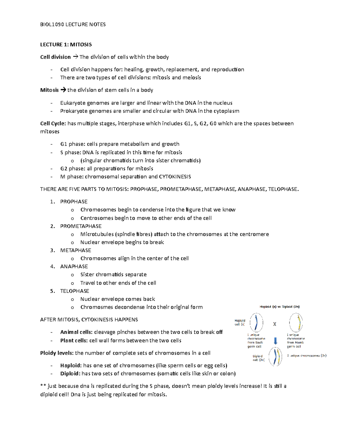 BIOL1090 Notes - LECTURE 1: MITOSIS Cell division → The division of ...