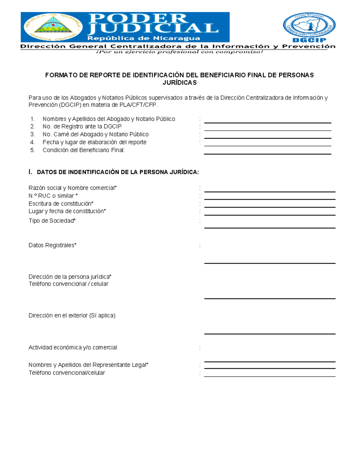 Modelo de RBF para reportar a DGCIP - FORMATO DE REPORTE DE ...