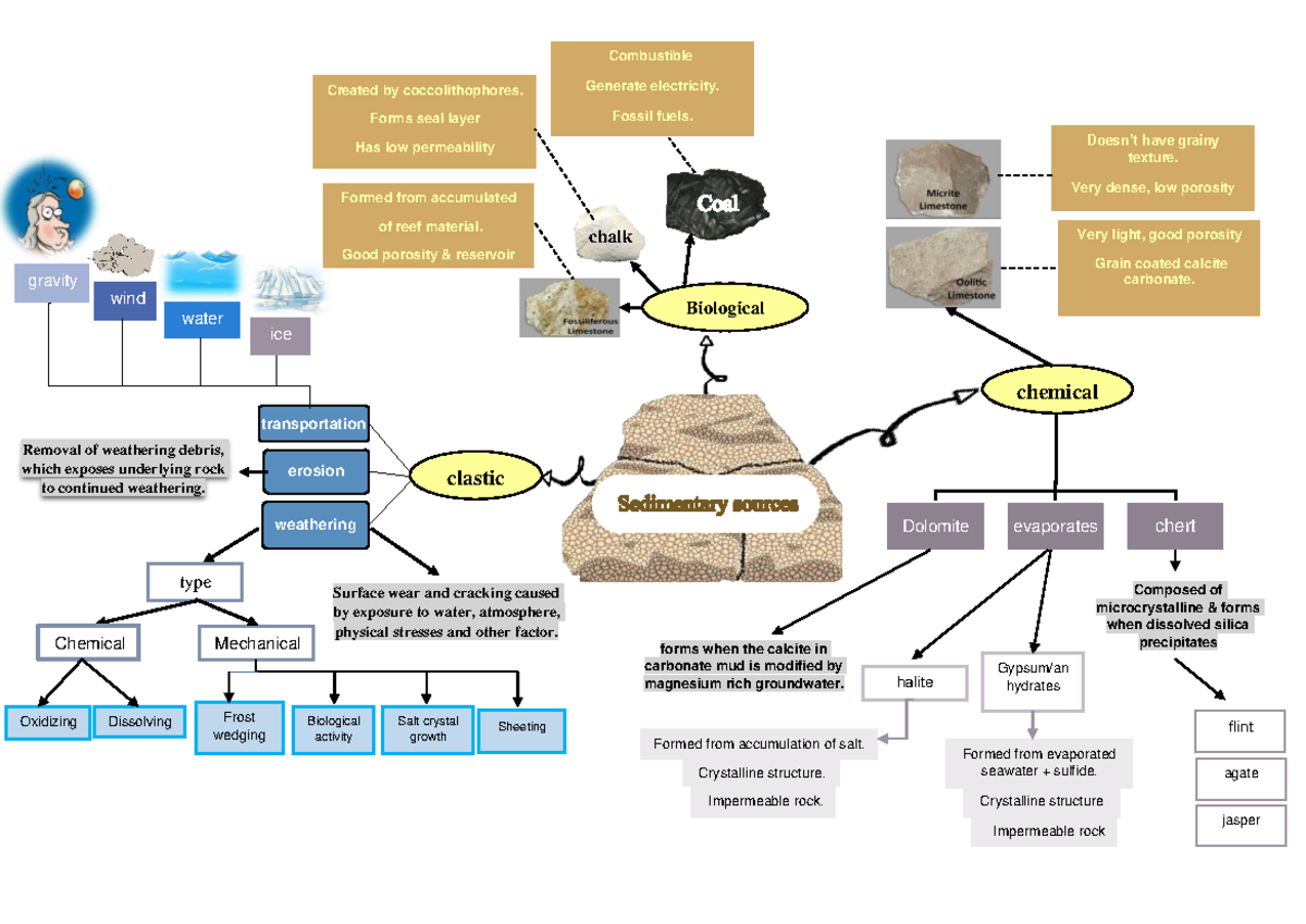 Sedimentary rocks Group 01 part2 - . transportation erosion weathering ...