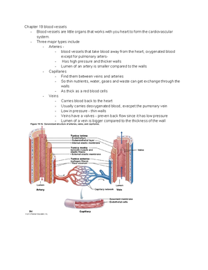 Physio Ex Exercise 5 Activity 1 - PhysioEx Lab Report Exercise 5 ...