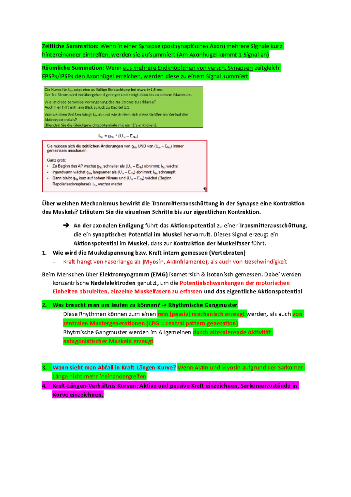 Neuro schwierige Fragen - Zeitliche Summation: Wenn in einer Synapse ...
