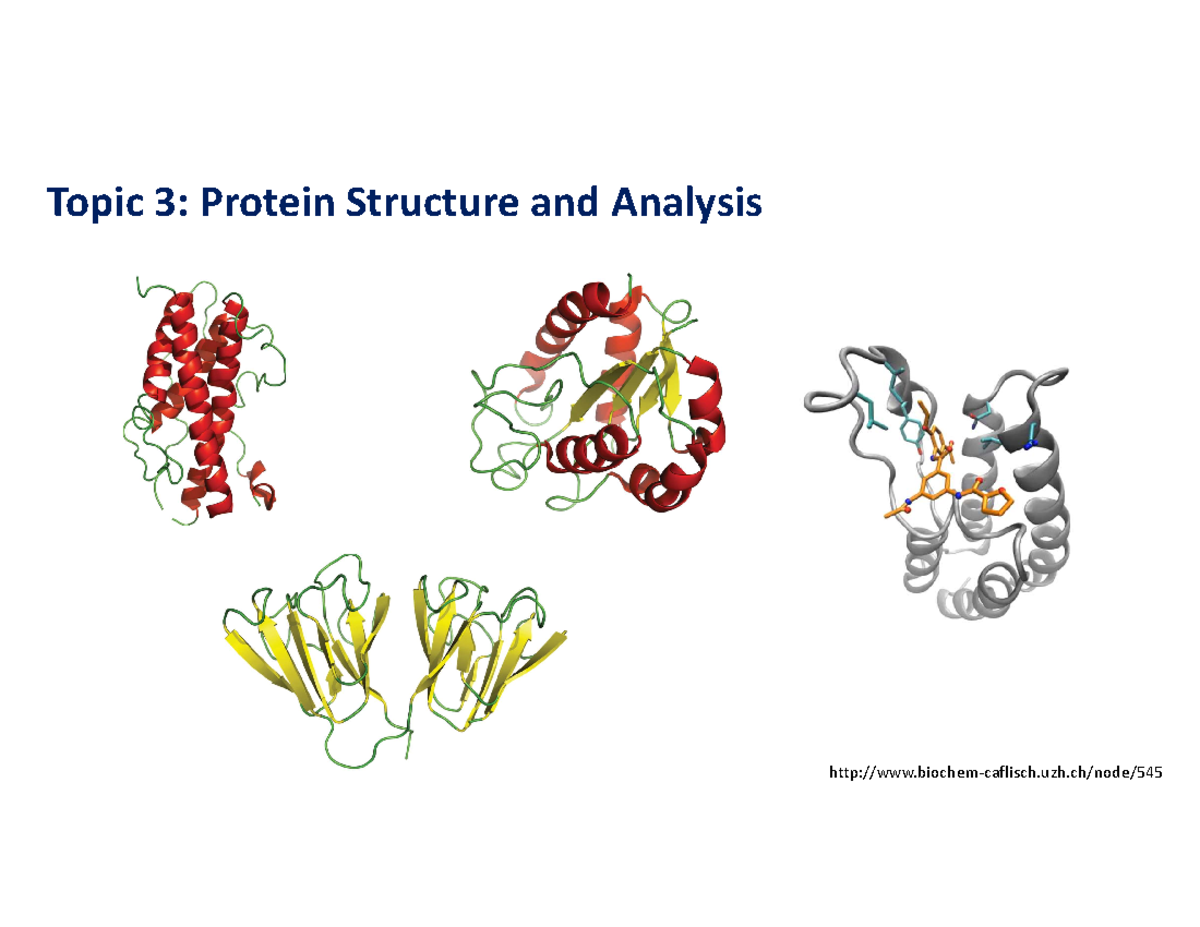 Bio Chem Topic 3 Slides - Topic 3: Protein Structure and Analysis ...