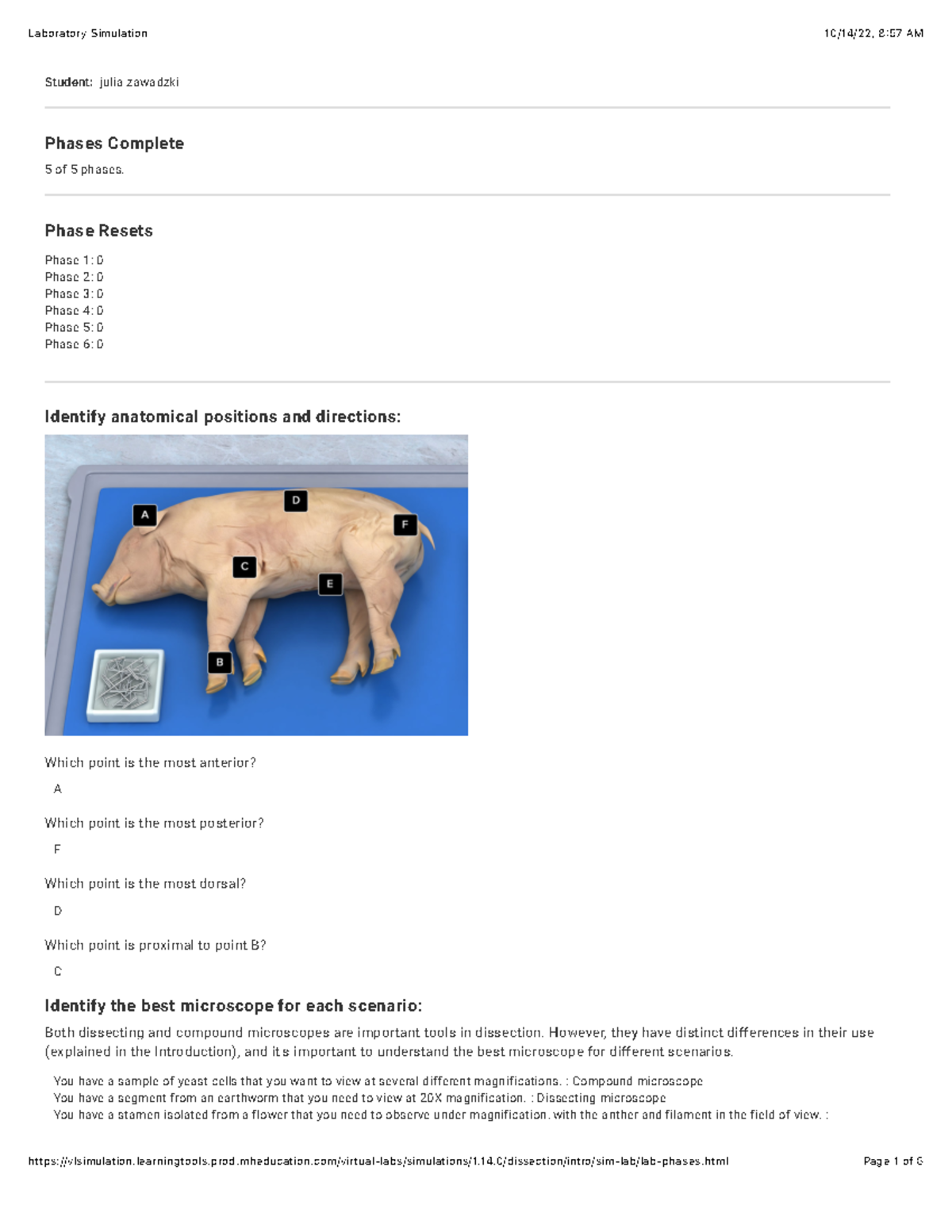 Pig lab - pig lab - Student: julia zawadzki Phases Complete 5 of 5 ...