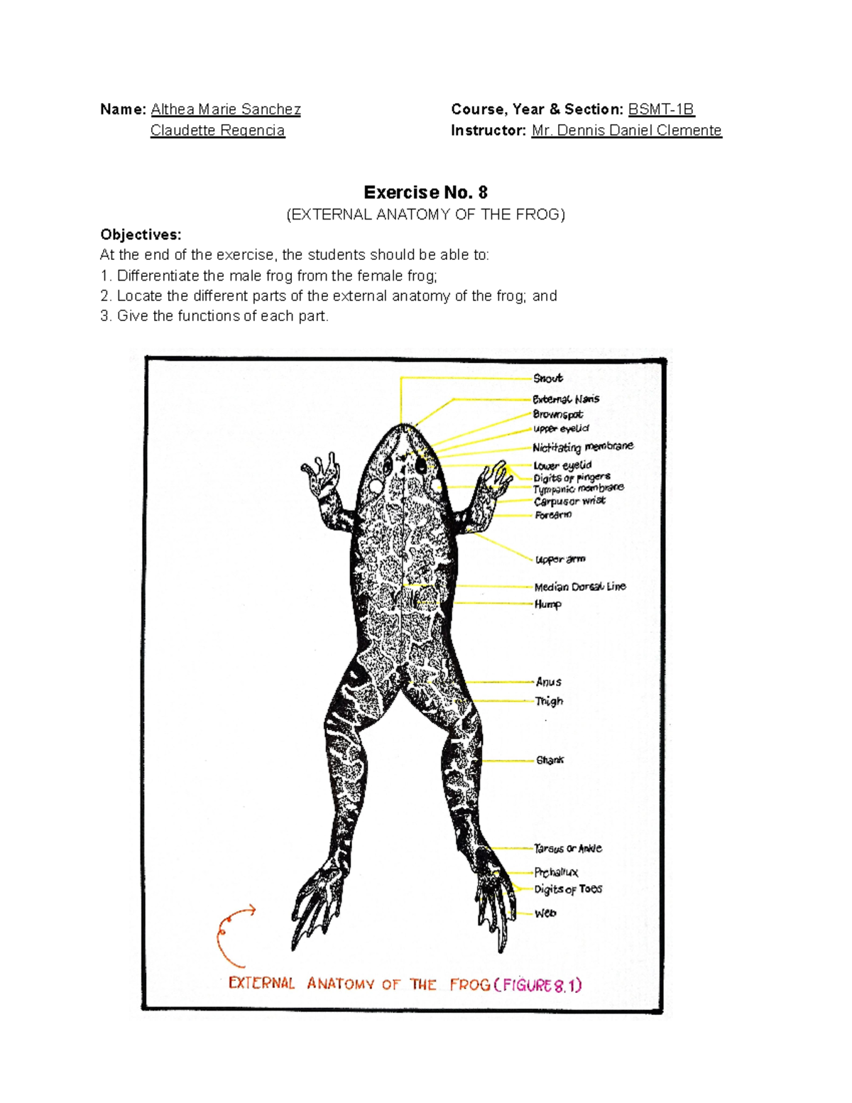 M4-ACT - Assignment - Name: Althea Marie Sanchez Claudette Regencia Course, Year & Section ...
