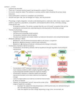BISC 3122 Chapter 6 - Anatomy and Physiology - Chapter 6 - Bones ...