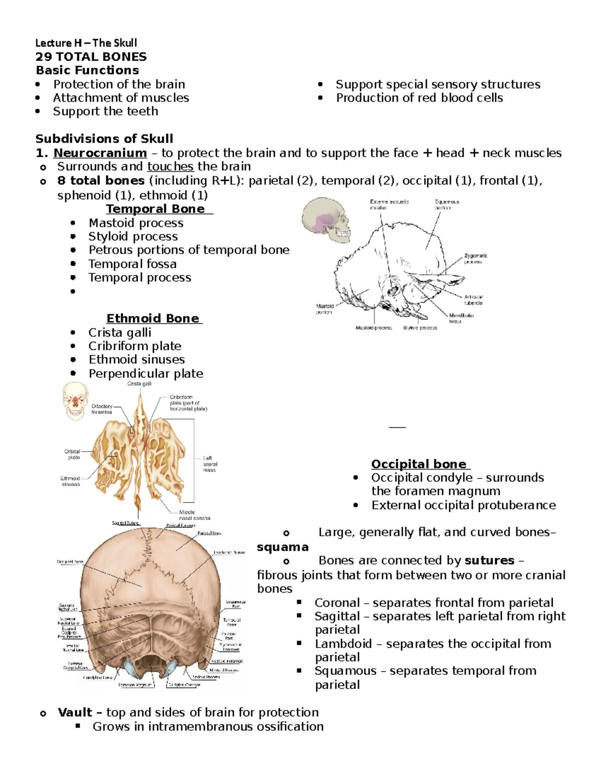 Bones of the Skull - 29 TOTAL BONES Basic Functions Protection of the ...