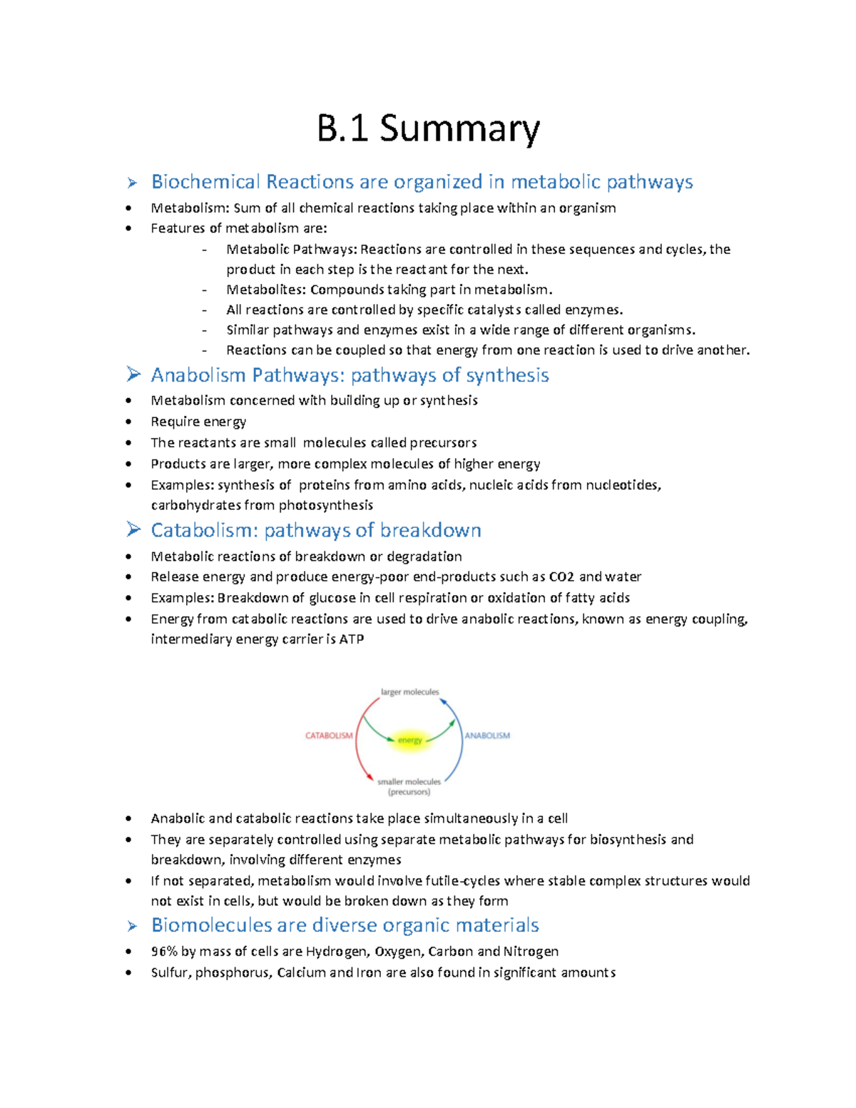 Option B Biochemistry Summary Notes - B Summary Biochemical Reactions ...