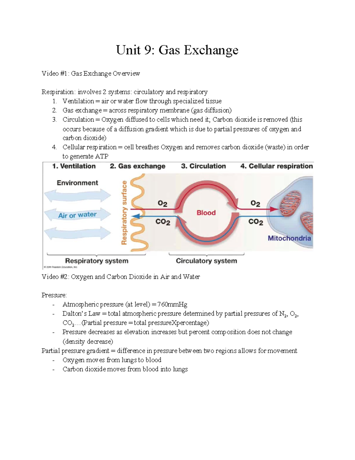 Unit 9 Gas Exchange - Unit 9: Gas Exchange Video #1: Gas Exchange ...