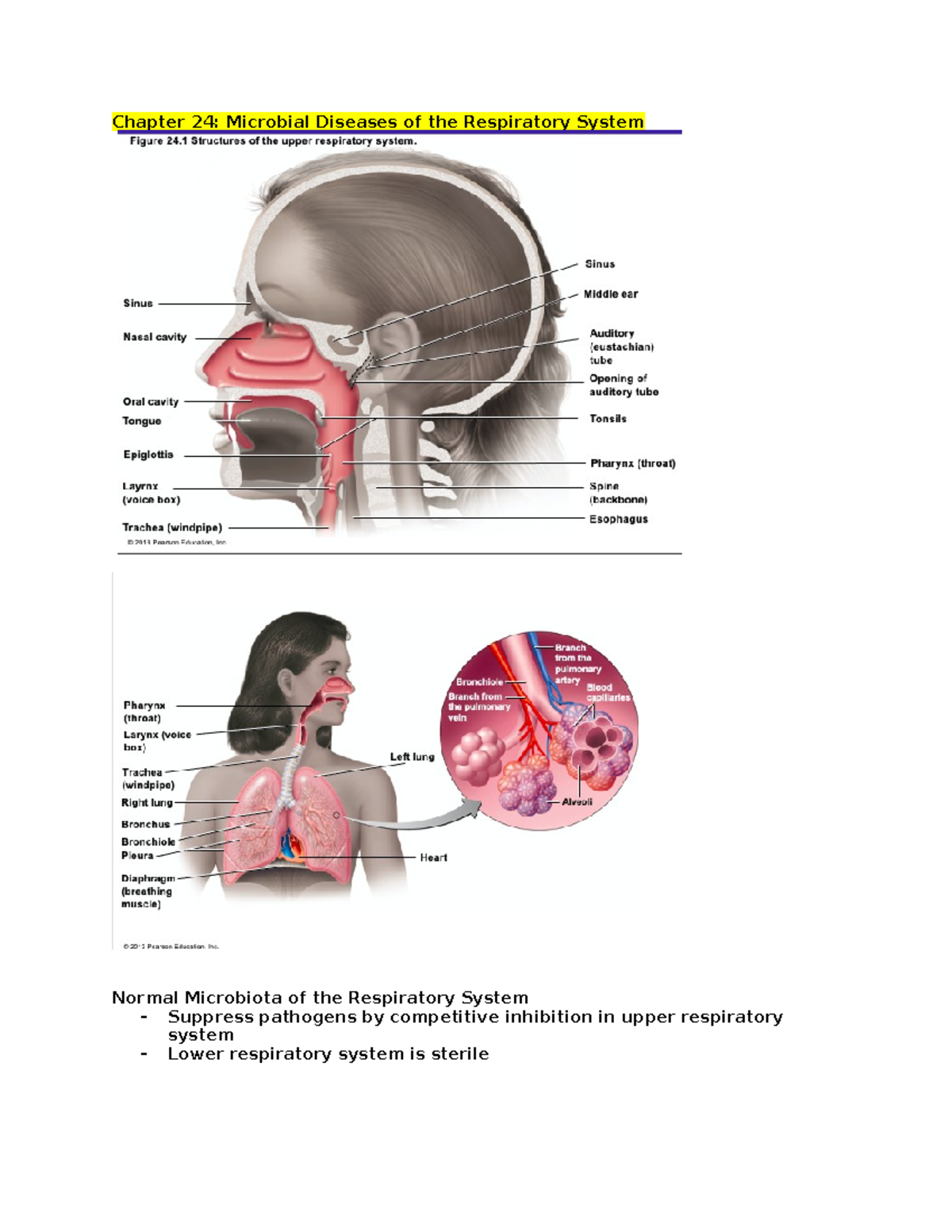 Chapter 24 - Lecture notes Lecture 5 - Chapter 24: Microbial Diseases ...