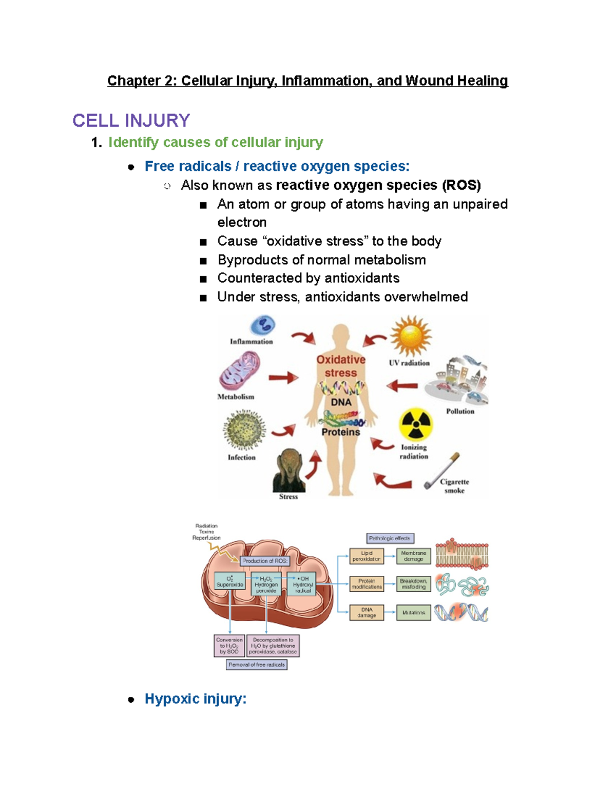 Pathophysiology Chapter 2 - Chapter 2: Cellular Injury, Inflammation ...