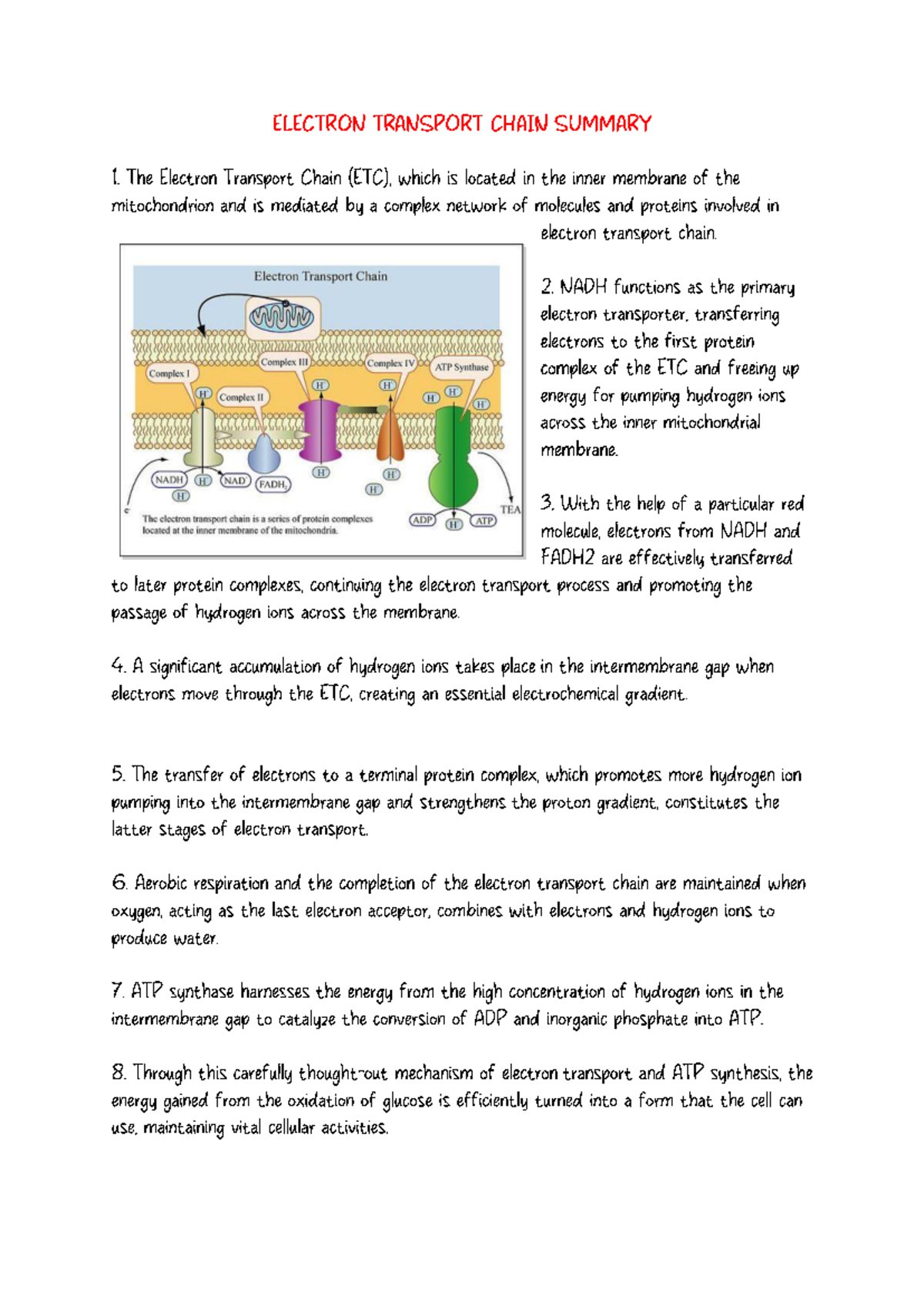 Electron Transport Chain - Biochemistry - Studocu