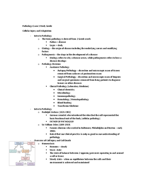 Metabolism EXAM 1 Lecture Notes - METABOLISM LECTURE Introduction to ...