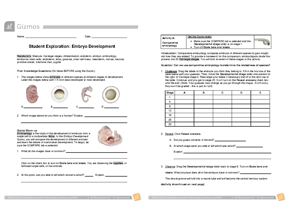 Gizmos Embryo Development p1-3 - 2019 Name: Date: Student Exploration ...