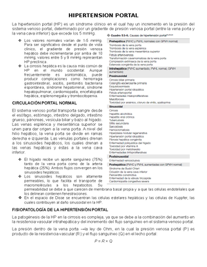 Recto y ano - Resumen Gastroenterología - a) Anatomía y Fisiología ...