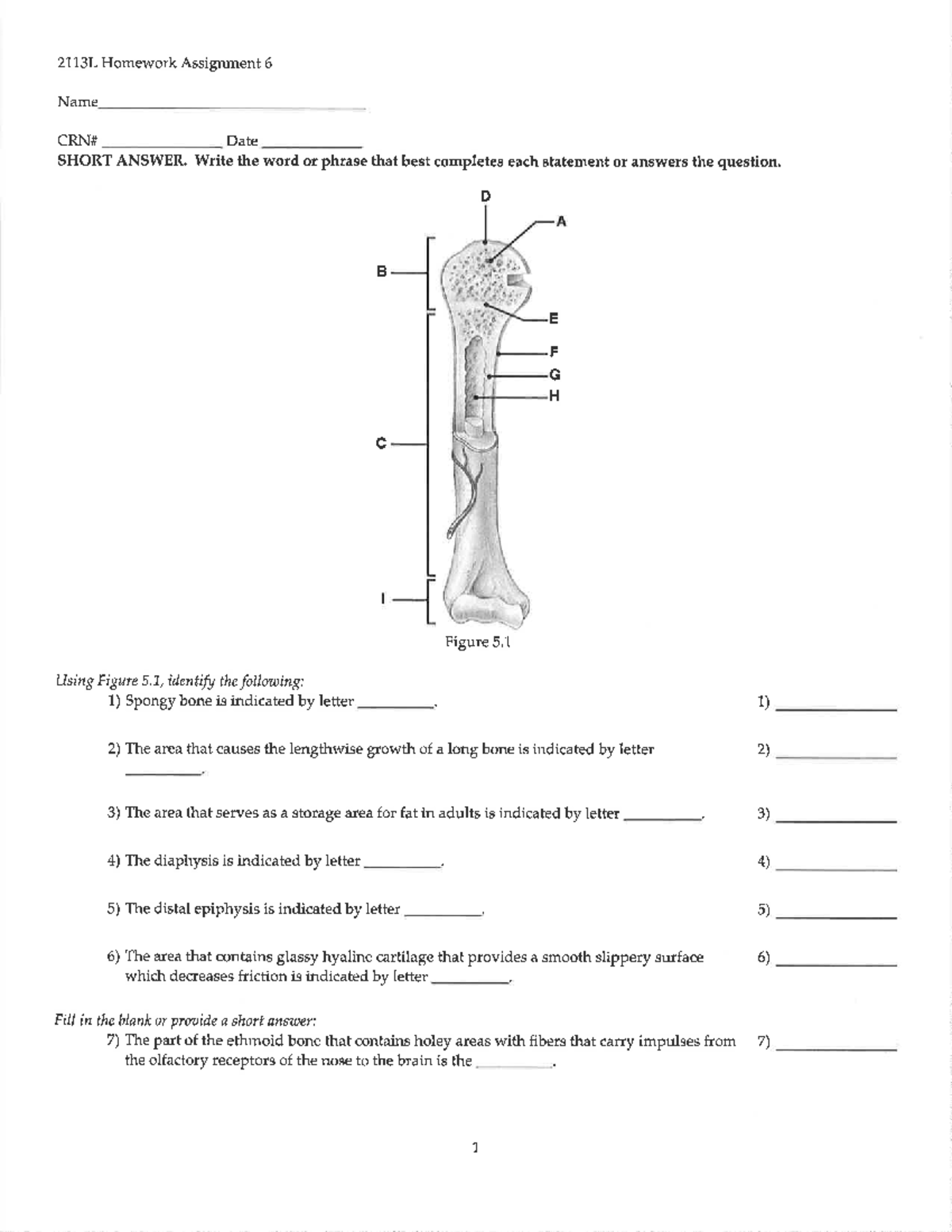 Homework Assignment #6 - Appendicular Skeleton - BIOL2114 - Studocu