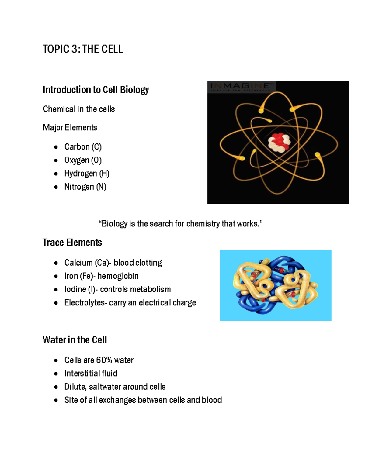 Topic 3 the Cell - BS Biology - WMSU - Studocu