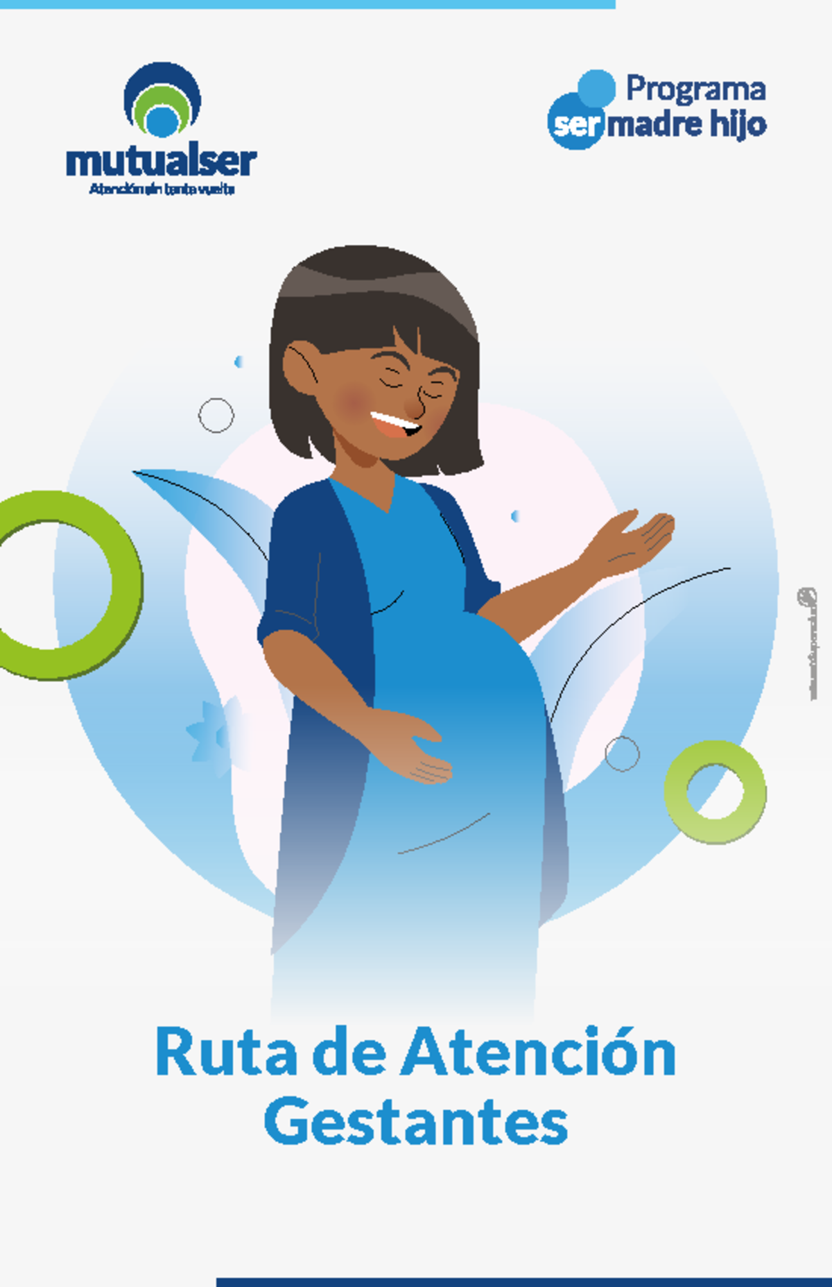 Web Cartilla Programa Ser Madre Hijo - Ruta de Atención Gestantes Es un ...