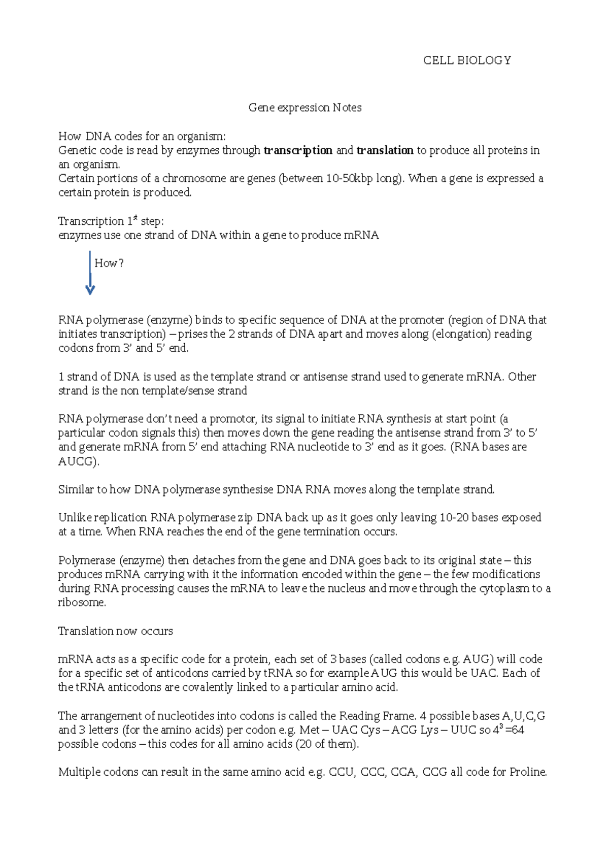Gene expression notes - CELL BIOLOGY Gene expression Notes How DNA ...
