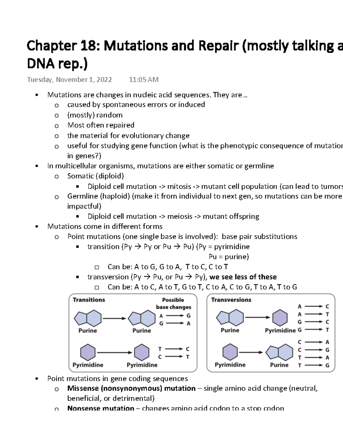 Module 3 Chapter 18 Mutations and Repair (lecture) - Mutations are changes in nucleic acid - Studocu