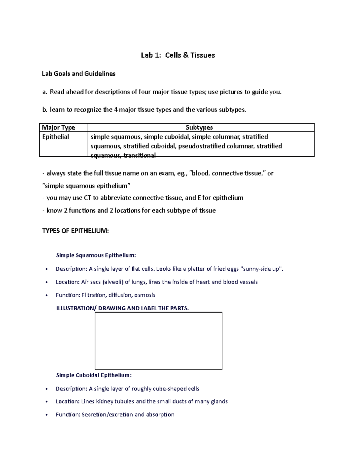 Activity Sheet in Cells and Tissues - Lab 1: Cells & Tissues Lab Goals ...