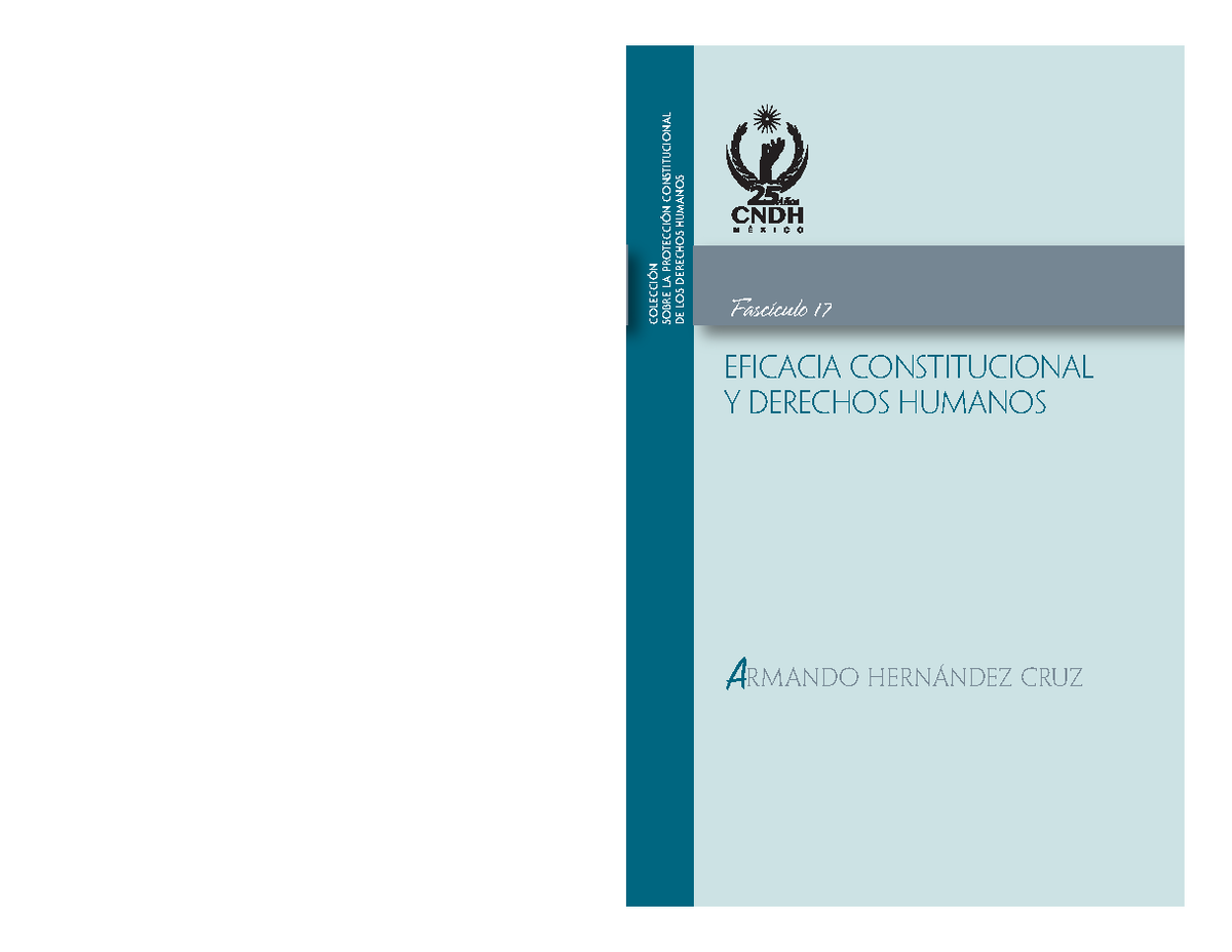 Fas Cpcdh 17 - Hhhhhhjjnhhhjjj - EFICACIA CONSTITUCIONAL Y DERECHOS ...