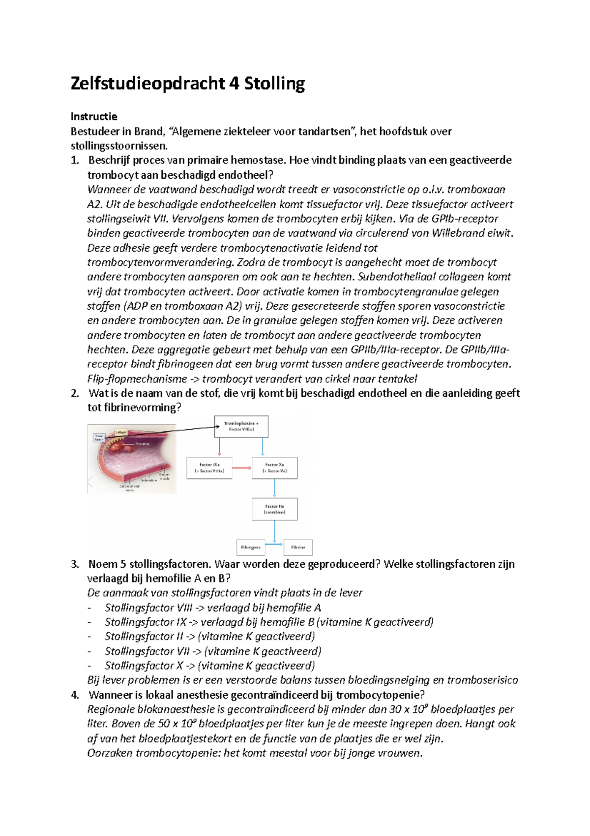 Zelfstudieopdracht 4 Stolling - Zelfstudieopdracht 4 Stolling ...