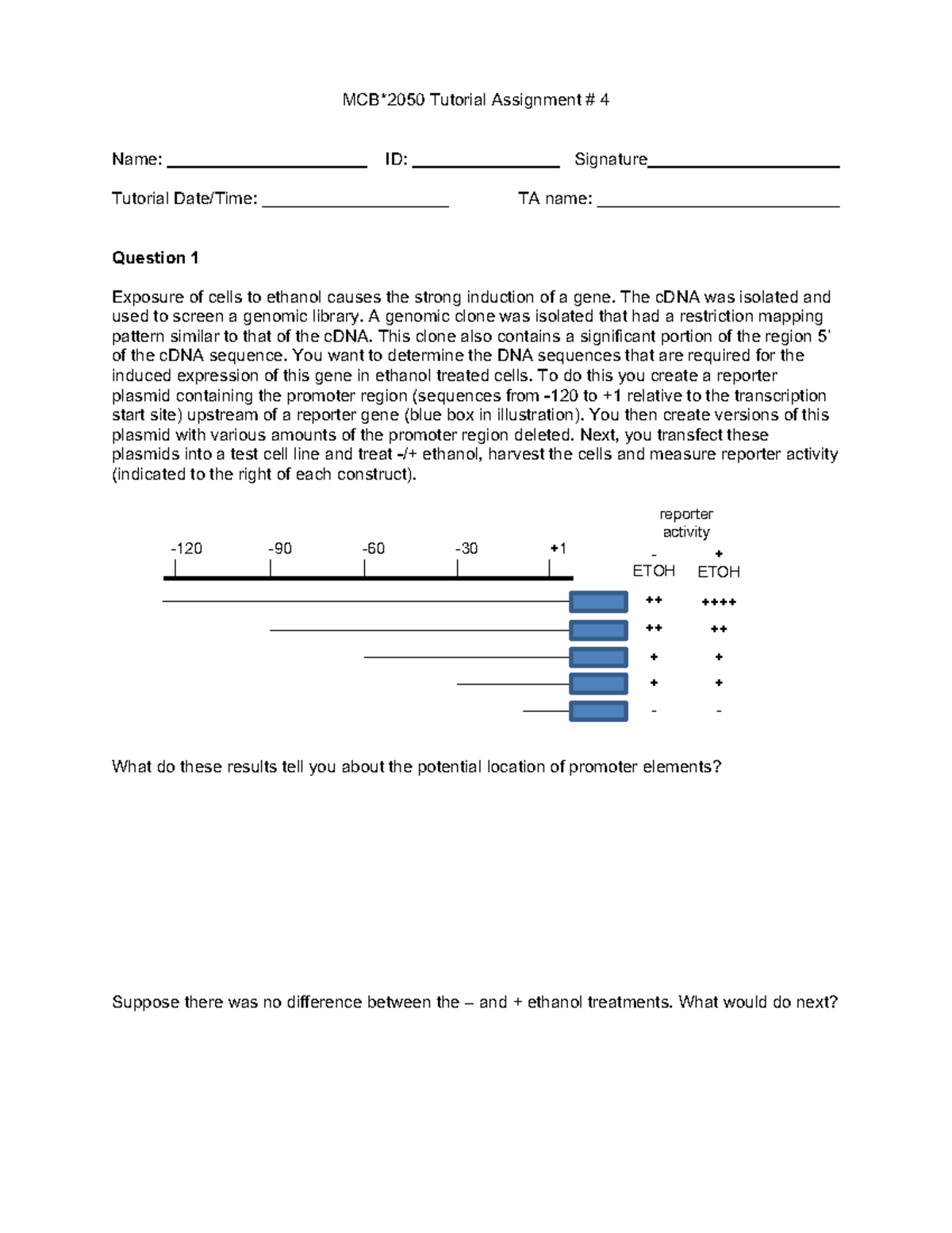 MCB2050 W17 tutorial 4 - MCB 2050 - MCB*2050 Tutorial Assignment # 4 ...