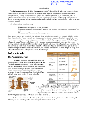 Microbiology - chi lecture 2023-01-29 02 32 45 - Microbiology: chapter ...