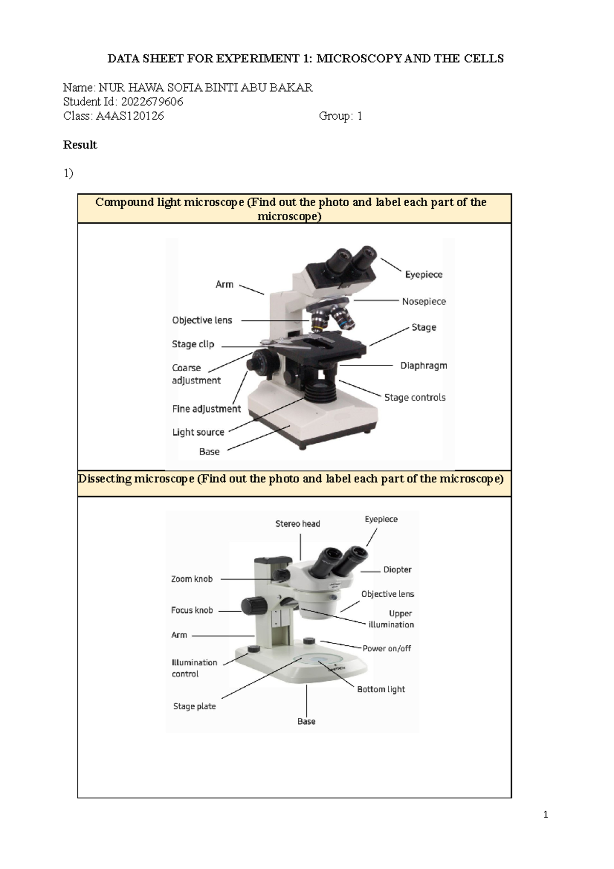 2.1 DATA Sheet FOR Experiment 1- Microscopy AND THE Cells (FOR Students ...