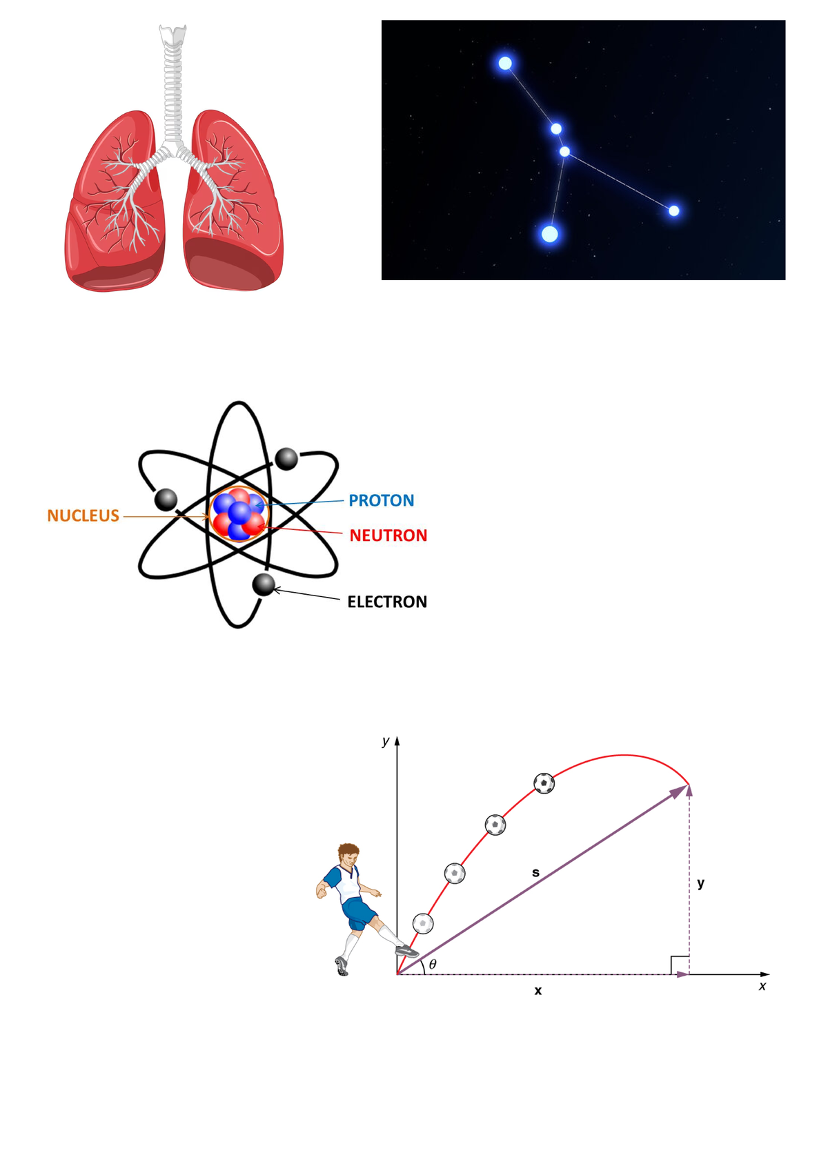 Lungs Assignment - BSED - Science - Studocu