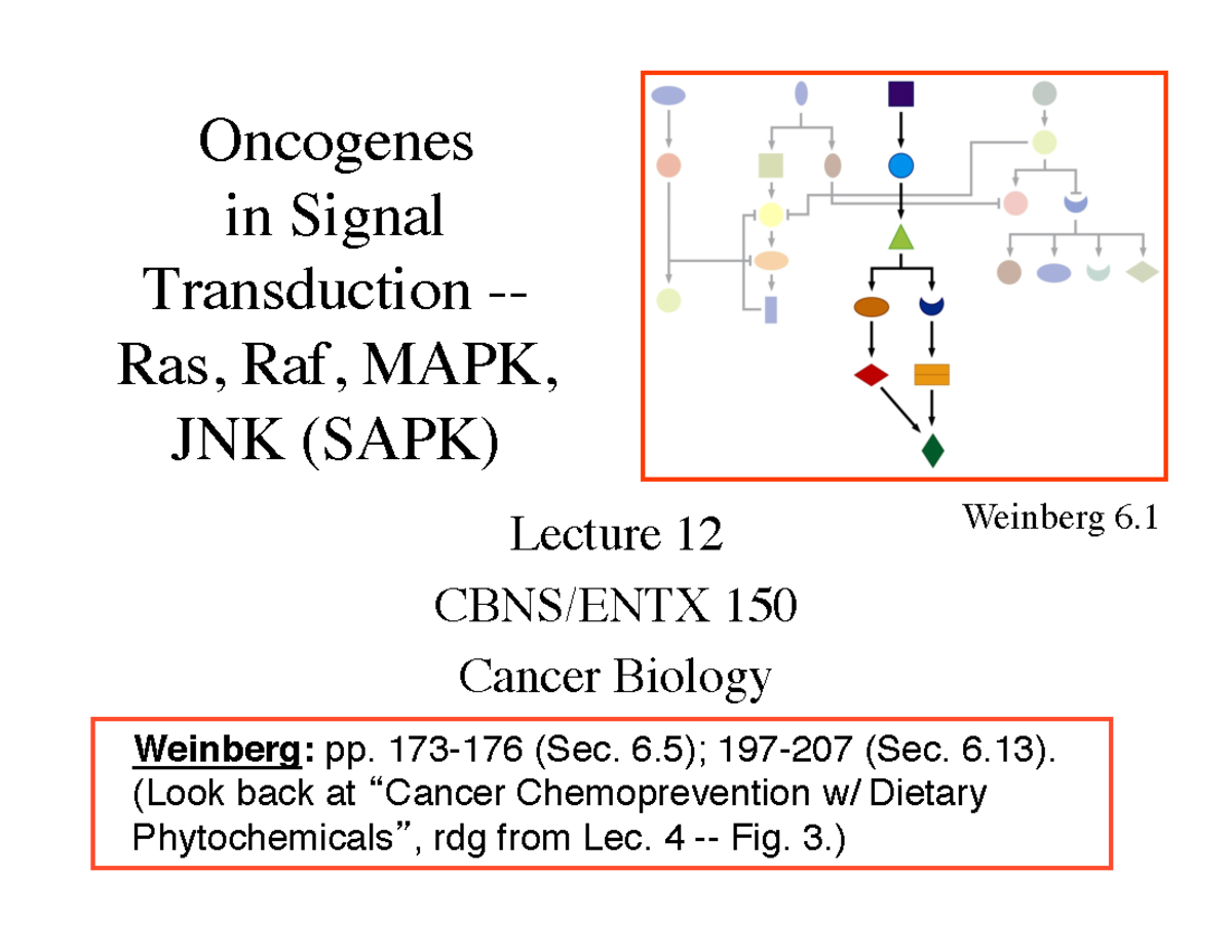 L12 CB14 - Dr. Sladek - Oncogenes in Signal Transduction - Ras, Raf ...