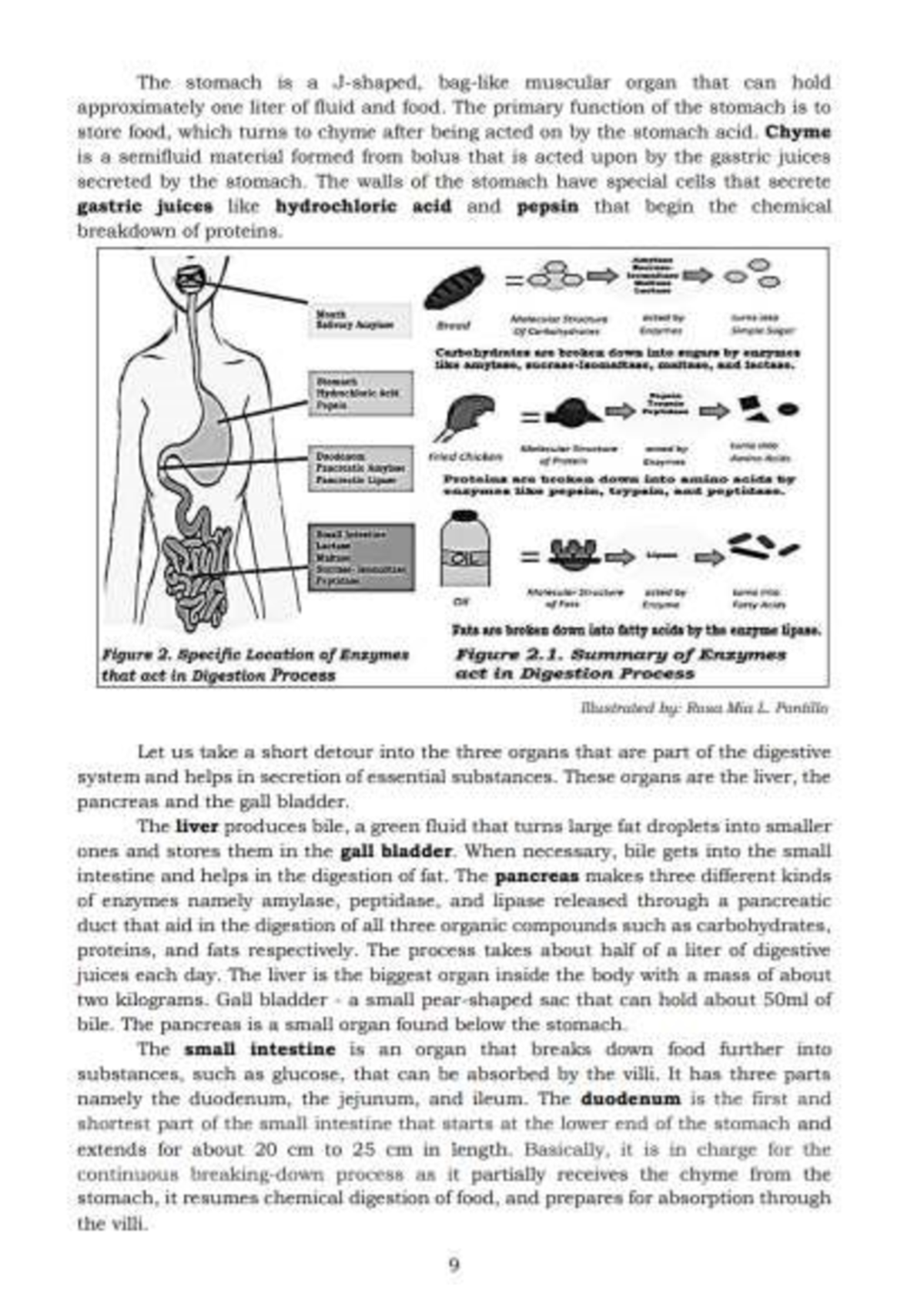 Ci grade 8 science - Camanga Elementary School - Studocu